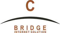 C Bridge Internet Solutions | Investment | Insight Partners
