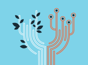 For What It’s Worth: The Importance of Explaining the Value of Employee ...