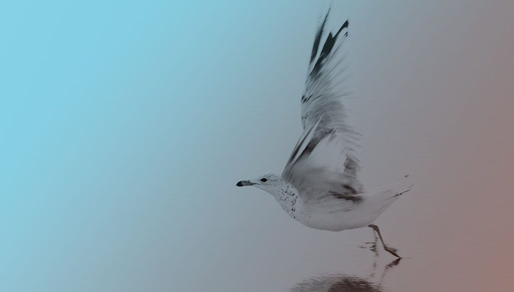 The future of recruiting: Insights from Tony Buffum on the next hiring ...