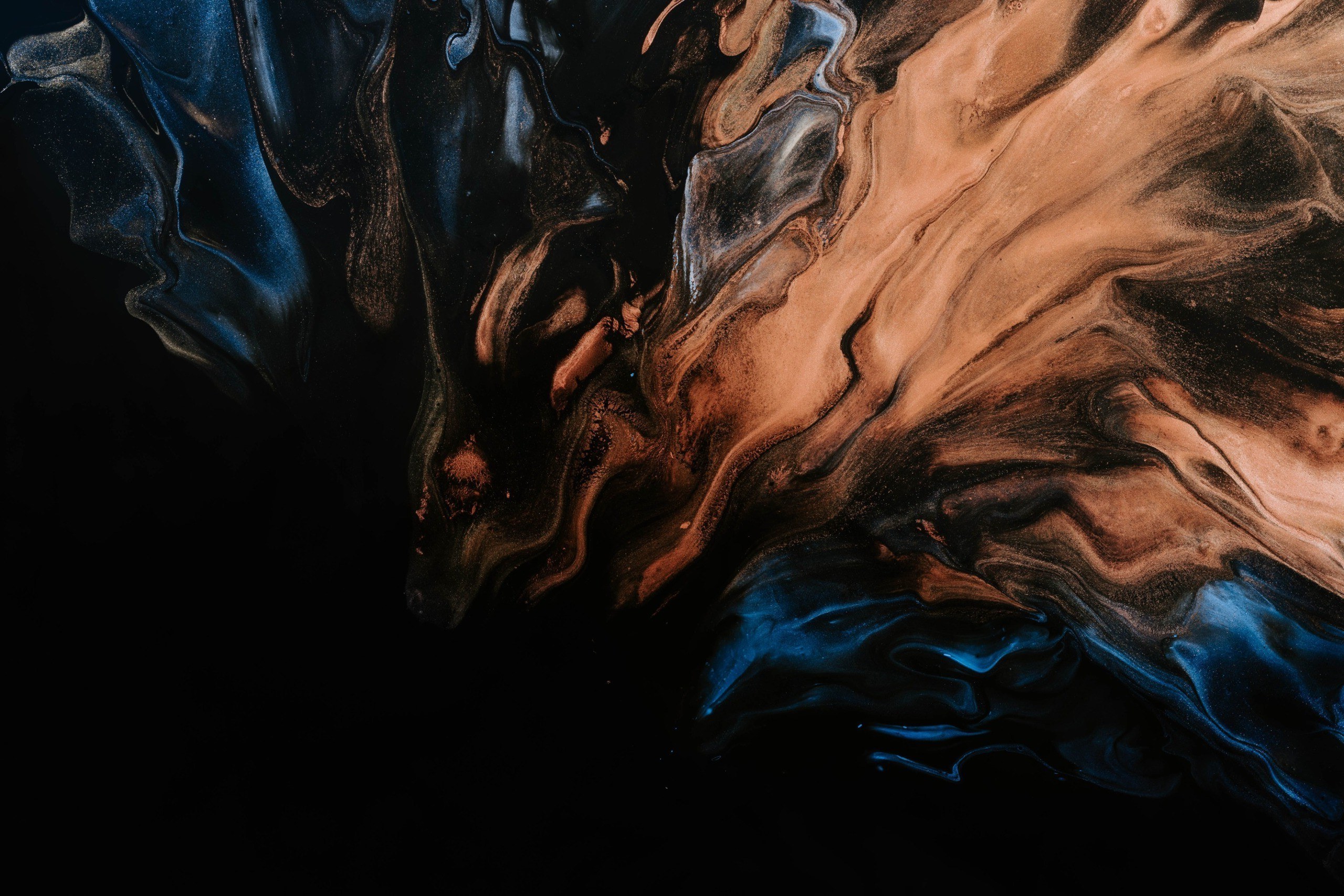 Insight Partners We Scale Ambition At Every Stage